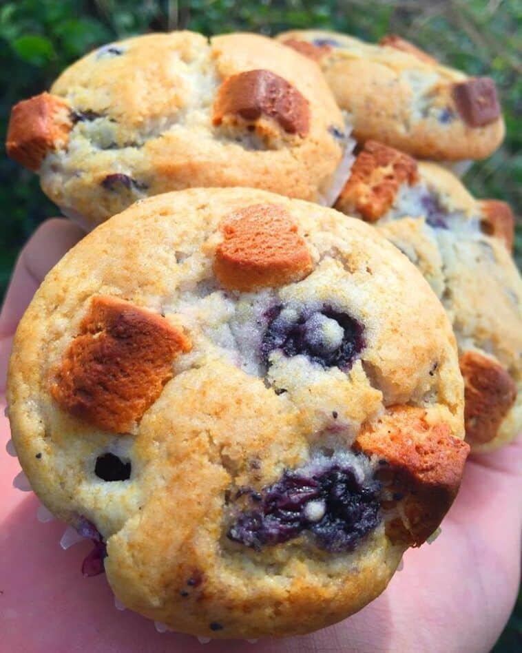 Blueberry muffins with baked Quest Bars - Easy Family Recipes