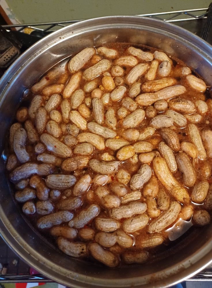 Making Some Boiled Peanuts - Nine Recipes